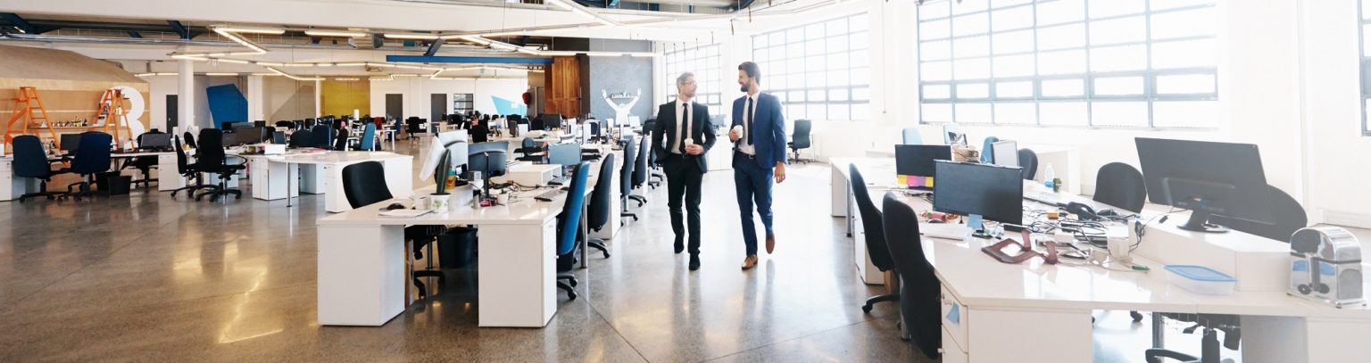 Contact – Born Global